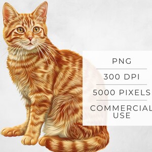 Orange Tabby Cat Clipart, Ginger Feline, Pet Illustration, Cute ...
