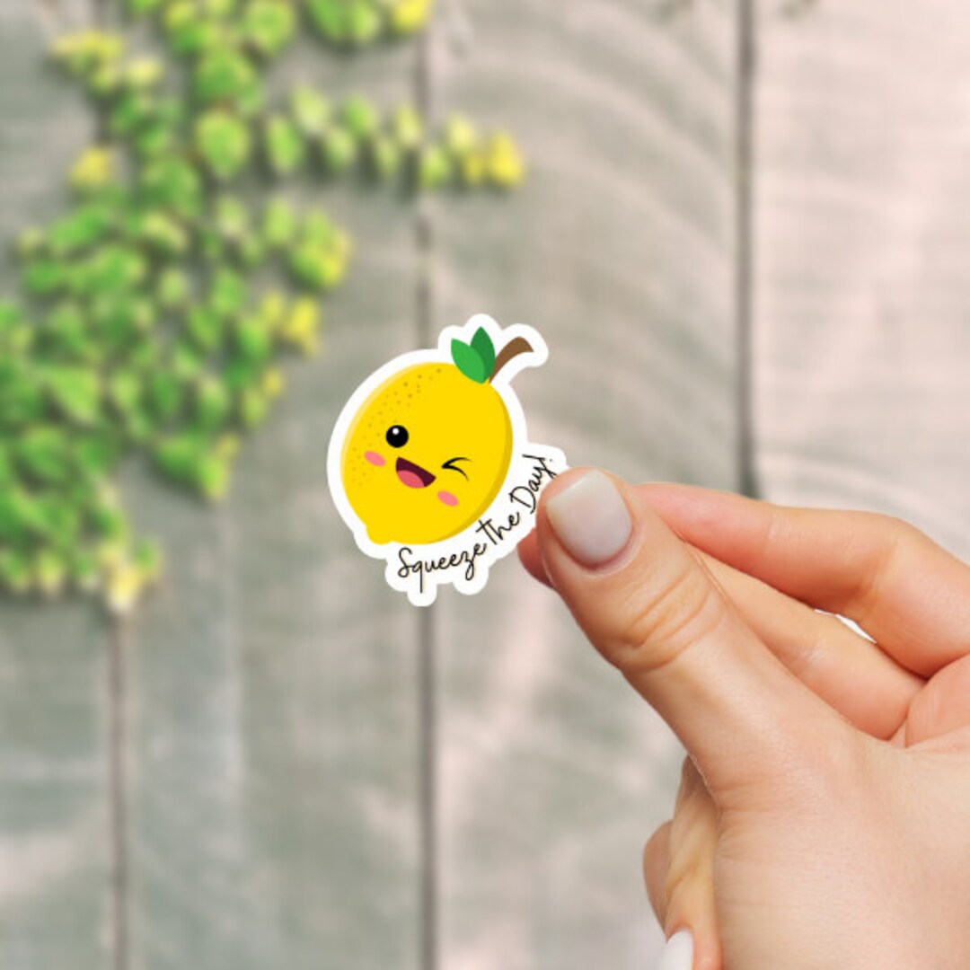 Squeeze the Day Sticker for Phone Case, Stickers for Laptop, Stickers ...