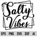 Salty Vibes Svg, Png, Cricut Cut File, Silhouette, Beach Vibes Svg ...