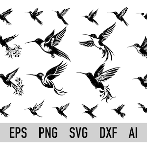 Hummingbird Svg Bundle, Hummingbird Png, Humming Bird Svg, Hummingbird ...