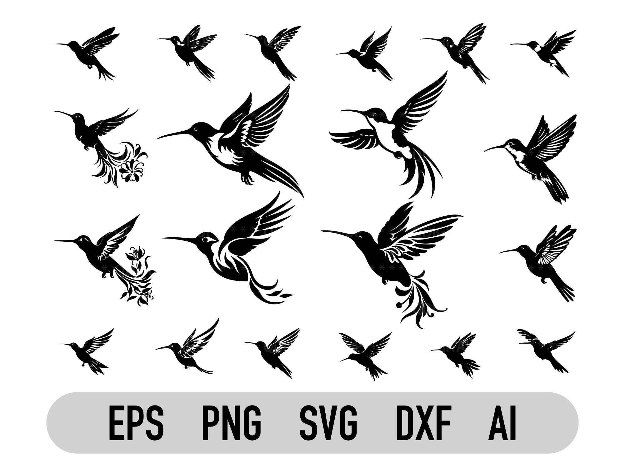 Colibrí Svg Bundle Colibrí Png Colibrí Svg Colibrí Cricut - Etsy España