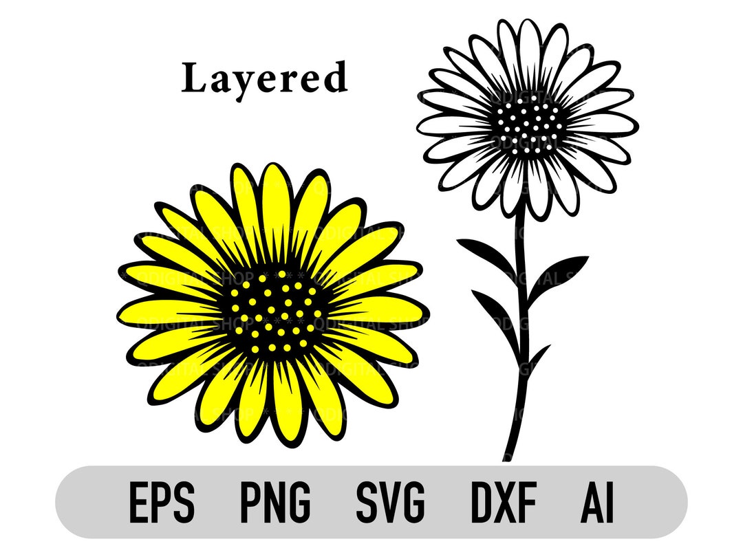 Daisy Svg, Png, Cut File, Daisy Flower Svg, Daisy Clipart, Daisy Svg ...