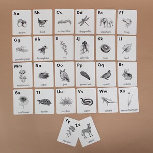 Nature Alphabet Cards | Printable ABC Flash Card Homeschool Science ...