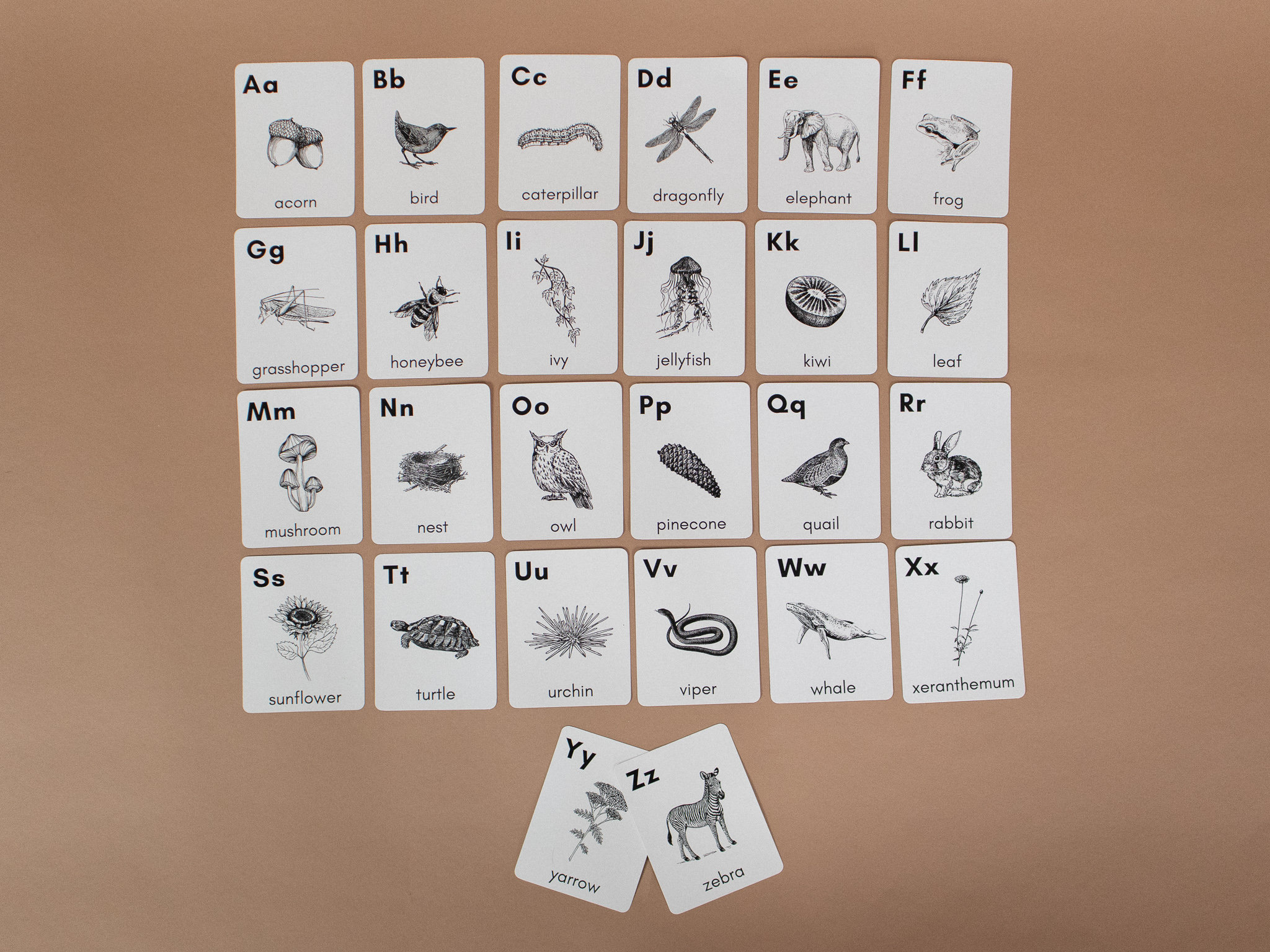 Nature Alphabet Cards | Printable ABC Flash Card Homeschool Science ...