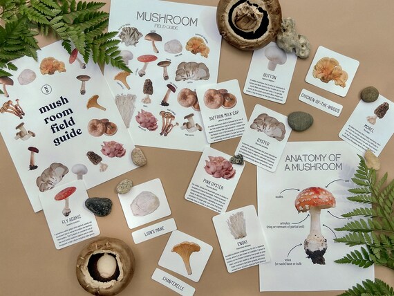 Mushroom Field Guide Printable Nature Study STEM Homeschool - Etsy