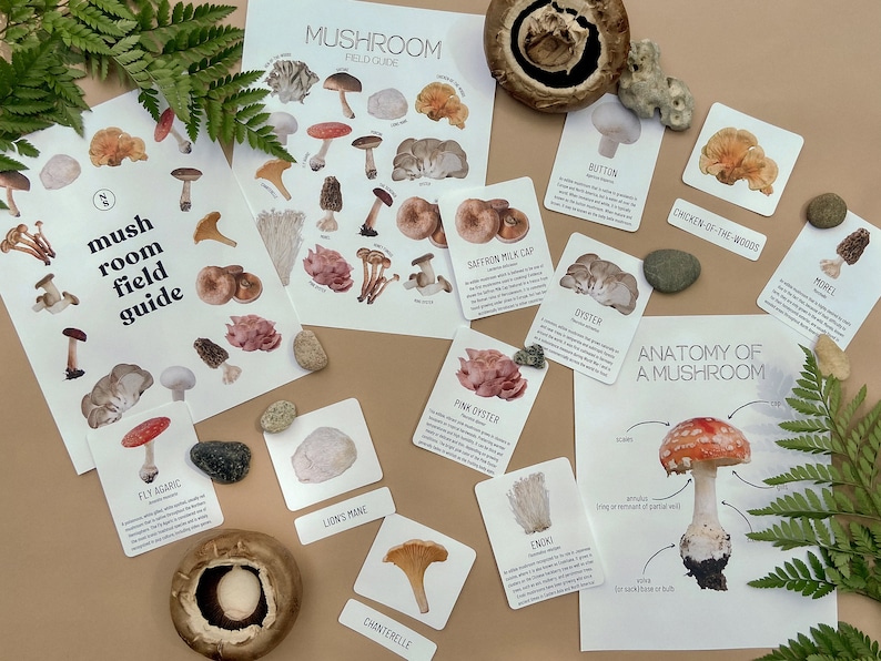 Mushroom Field Guide | Printable Nature Study STEM Homeschool Resources ...