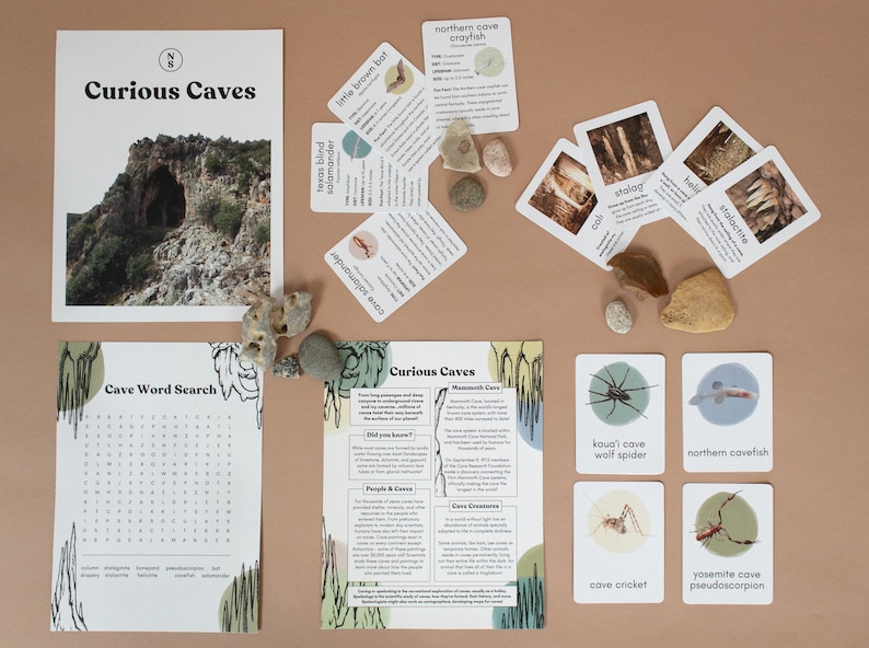 Curious Caves Unit Study | Printable Nature Study STEM Worksheets ...