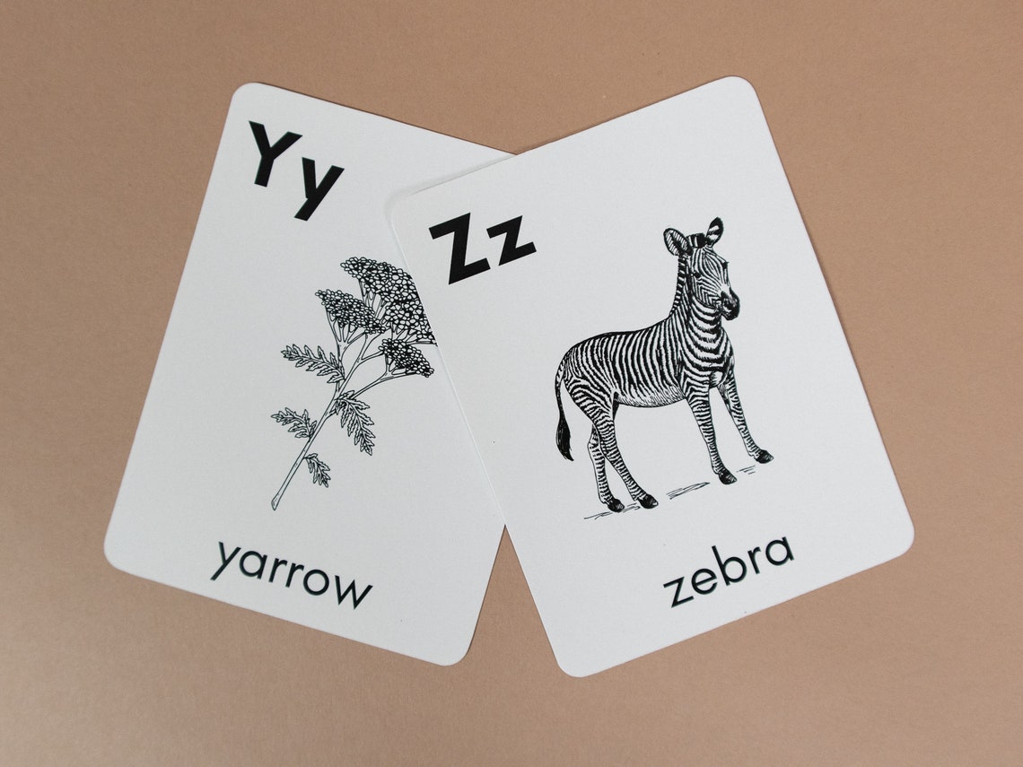 Nature Alphabet Cards | Printable ABC Flash Card Homeschool Science ...