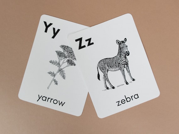Nature Alphabet Cards Printable ABC Flash Card Homeschool | Etsy
