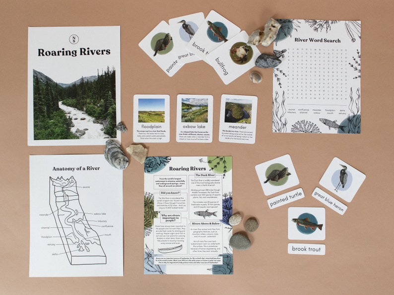 Roaring Rivers Unit Study | Printable Nature Study STEM Worksheets ...