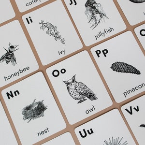 Nature Alphabet Cards | Printable ABC Flash Card Homeschool Science ...