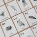Nature Alphabet Cards | Printable ABC Flash Card Homeschool Science ...