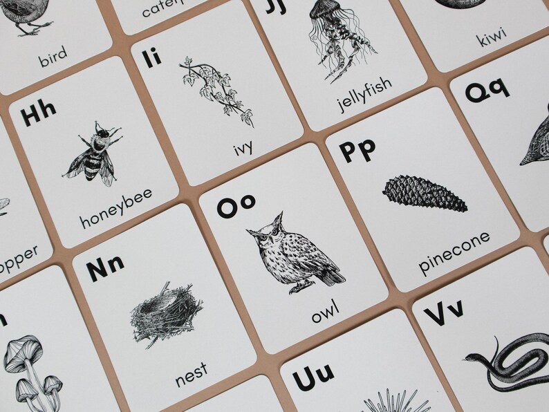 Nature Alphabet Cards | Printable ABC Flash Card Homeschool Science ...