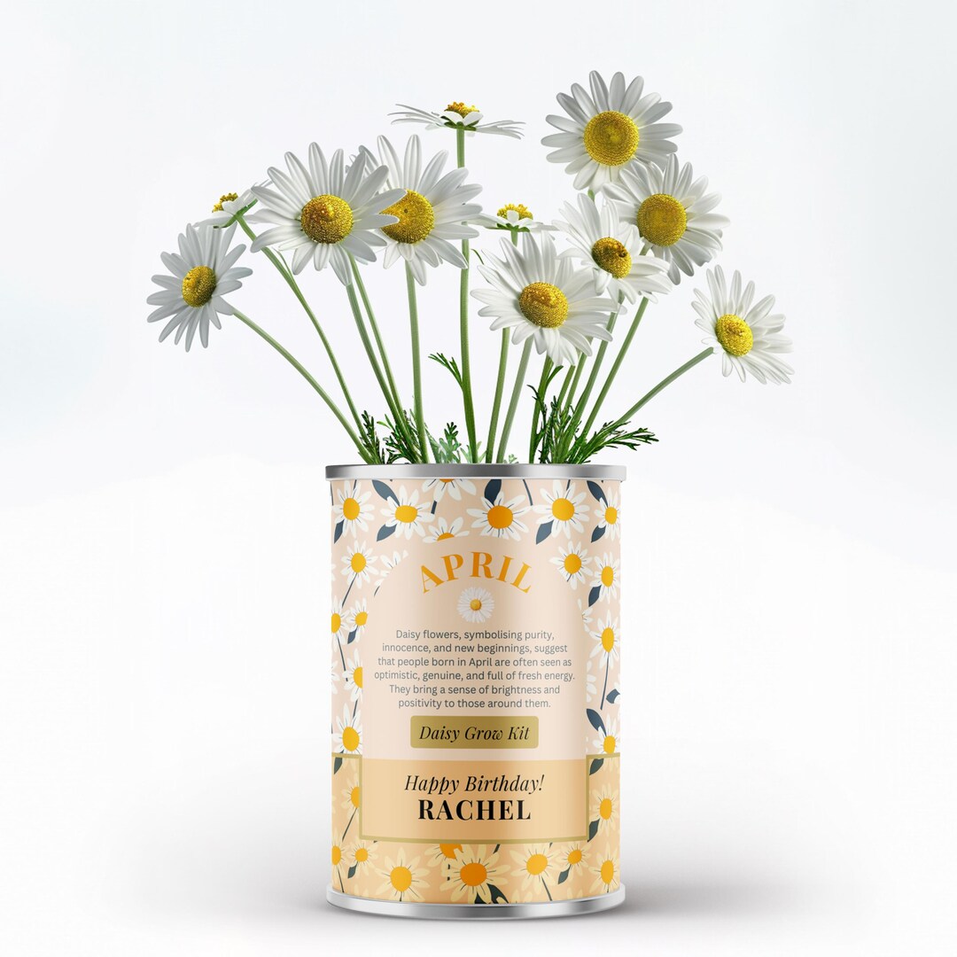 Personalized Daisy Grow Kit – April Birth Flower, Handmade Gift - Etsy UK