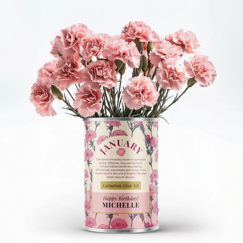 January Drawings - Etsy UK