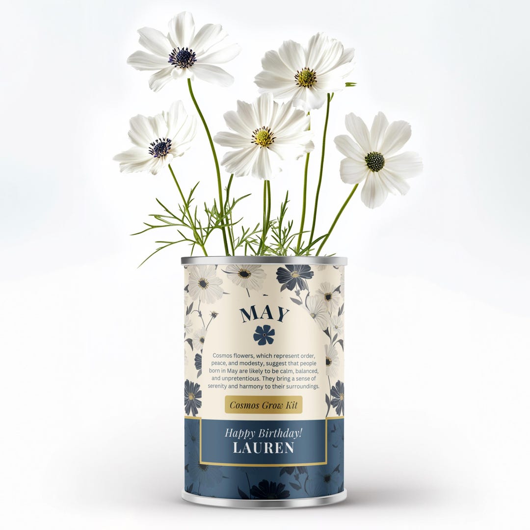 Cosmos Flower Grow Kit, Personalized May Birthday Gift Tin - Etsy UK