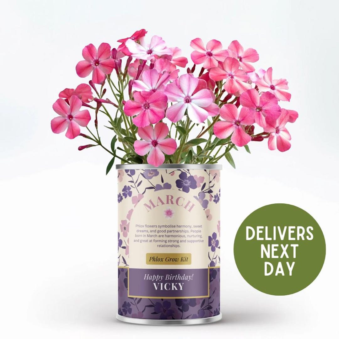 March Birth Flower Gift – Personalized Phlox Grow Kit - Etsy UK