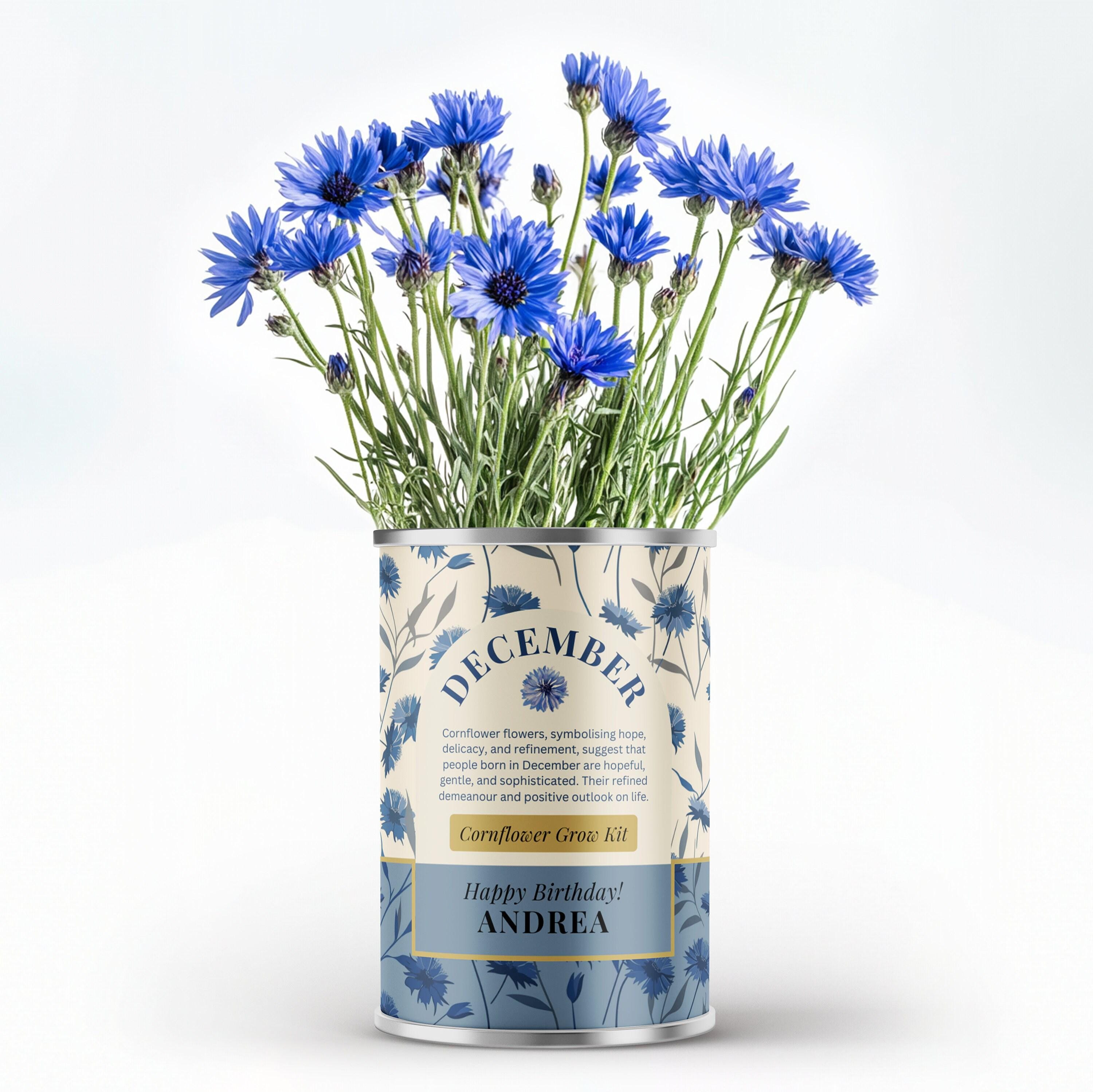 Grow Your Own Birth Flower Tin | Birthday Gift for January - December ...