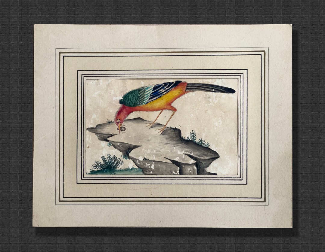 Vintage Colorful Bird Eating a Bug Water Color With Original Mat. FREE ...
