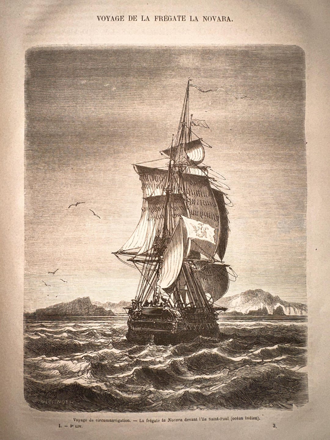 19th Century Voyage De La Frégate La Novara, Original Antique Print ...