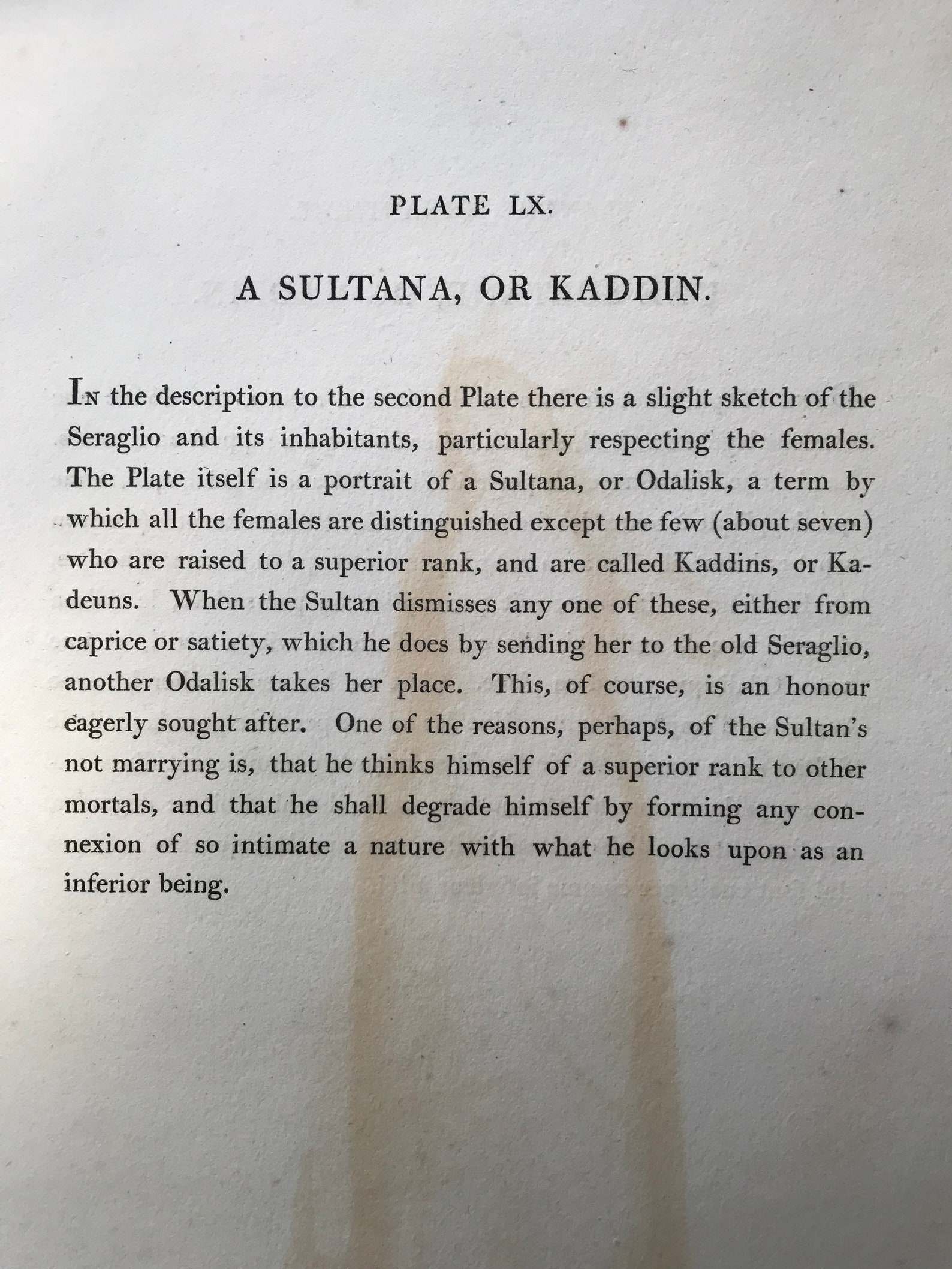 A SULTANA, OR KADDIN (ottoman - Costume) Original - Etsy