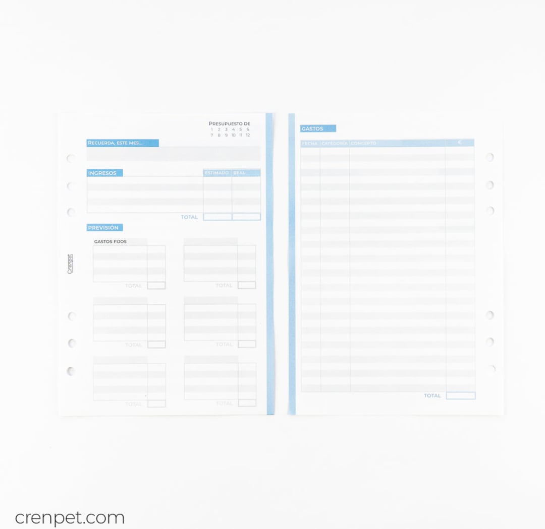 Monthly Budget Planner Replacement Agenda of A5 Rings Without Date - Etsy