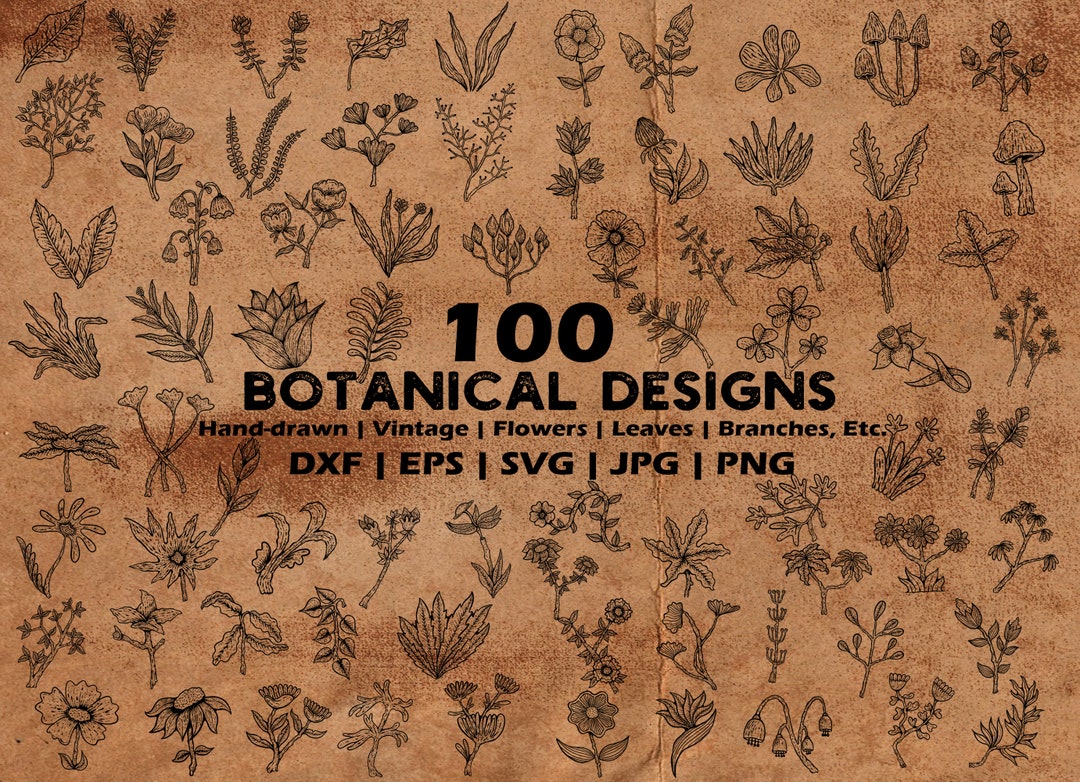 100 Botanical SVG Botanical SVG Flower SVG Botanical Clipart Vintage ...