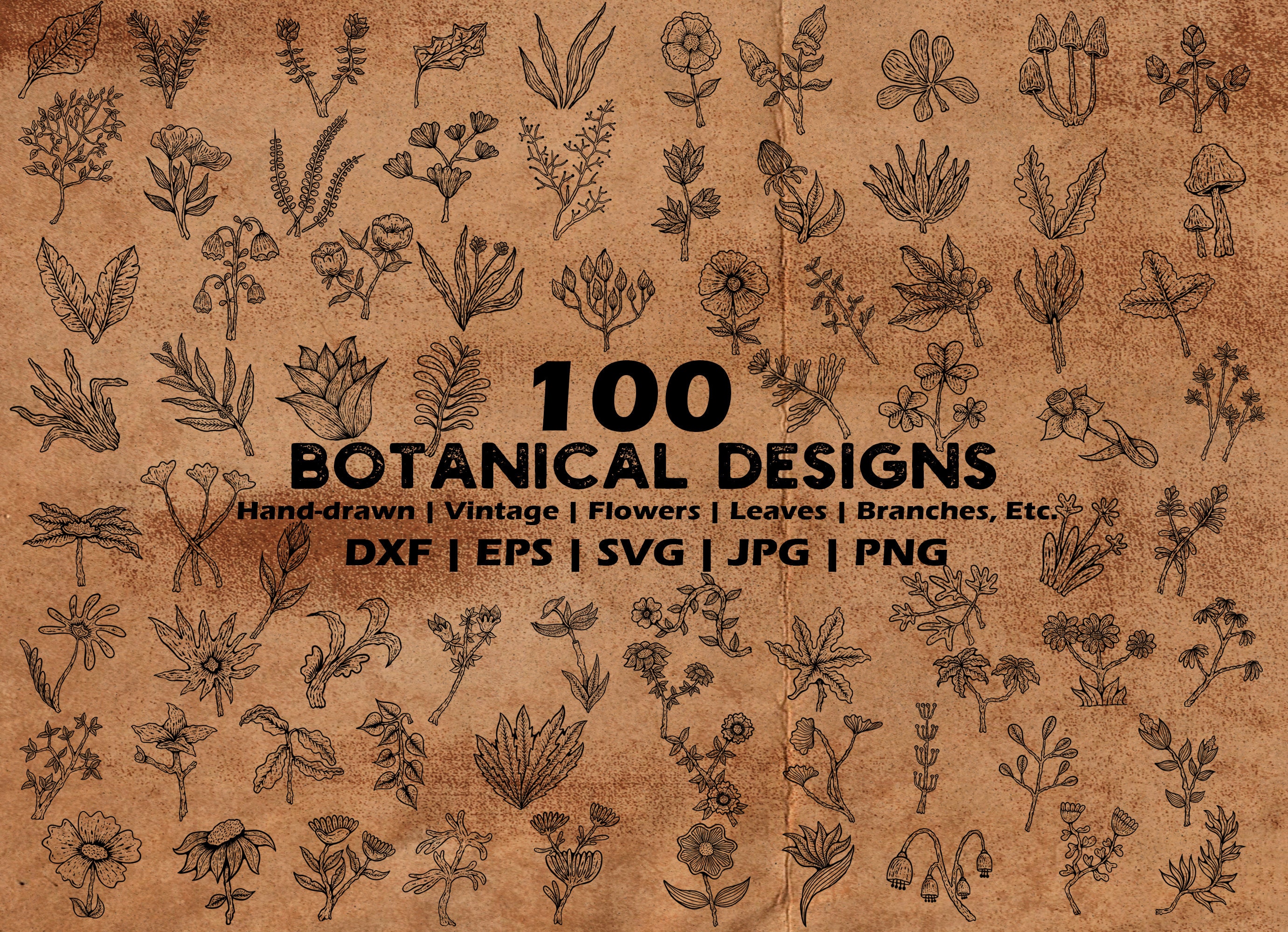 100 Botanical SVG Botanical SVG Flower SVG Botanical Clipart Vintage ...