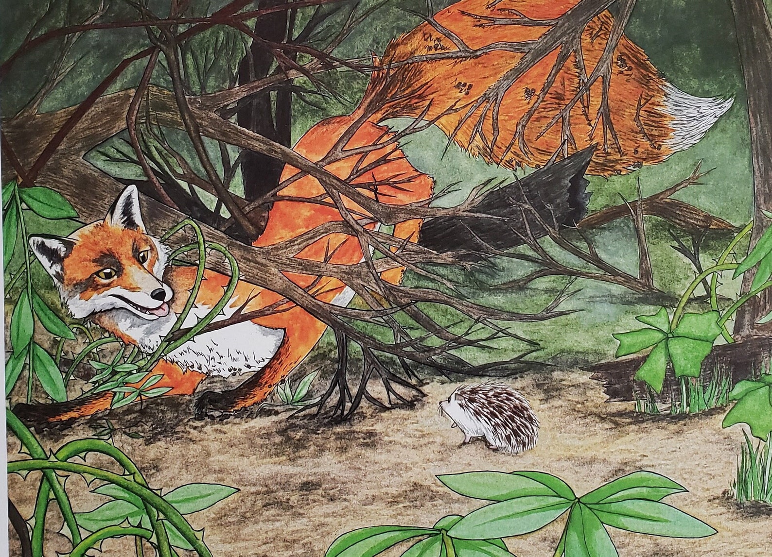Fox and the Hedgehog Fable, Aesop's Fable Illustration, 8.5x11 Fine Art ...