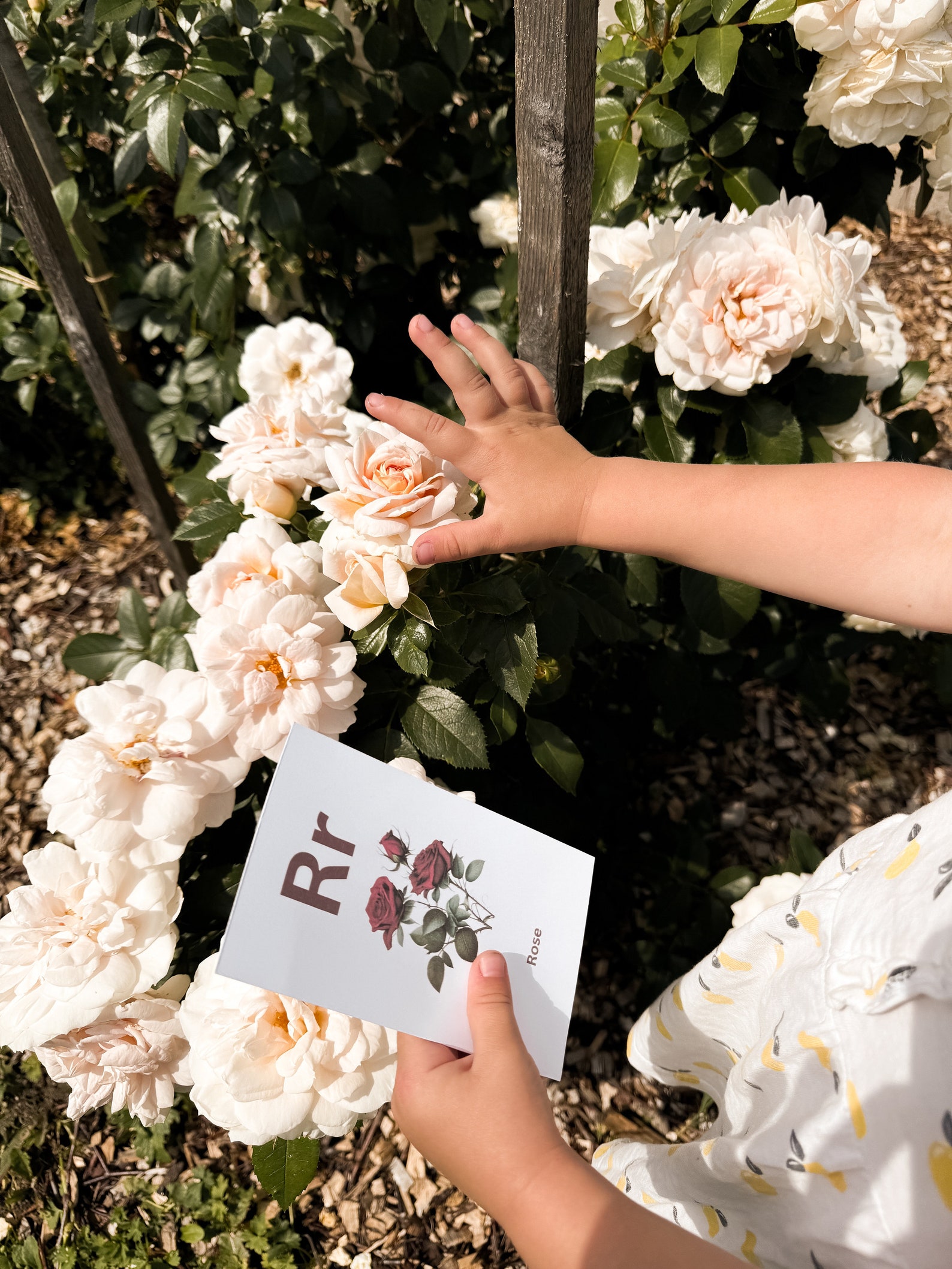 Printable Flower Alphabet Flashcards - Educational Floral Learning ...