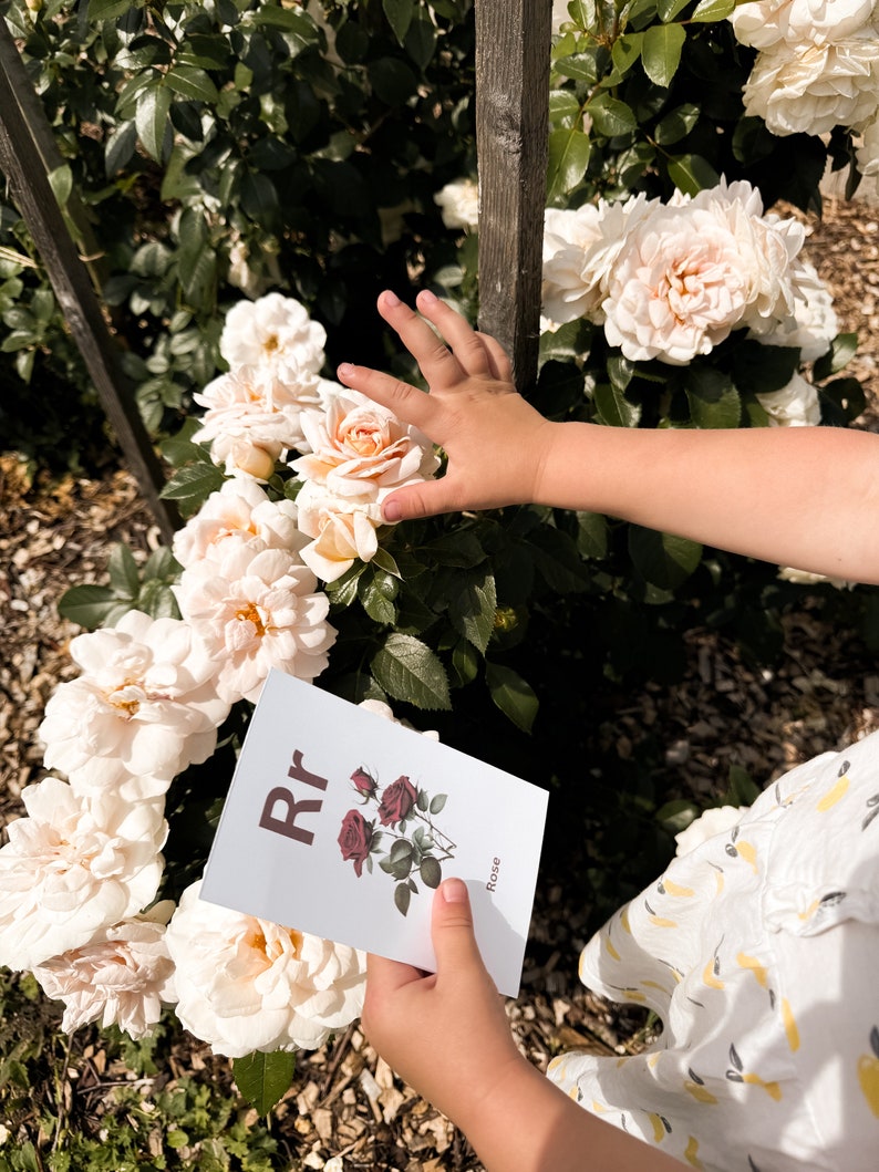 Printable Flower Alphabet Flashcards - Educational Floral Learning ...