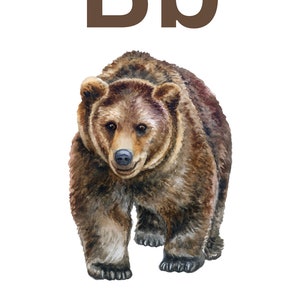 Educational Animal Alphabet Flashcards for Kids | A to Z Animal ...