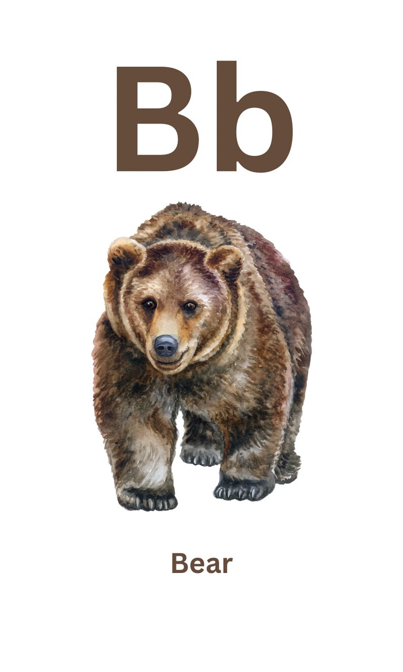 Educational Animal Alphabet Flashcards for Kids | A to Z Animal ...