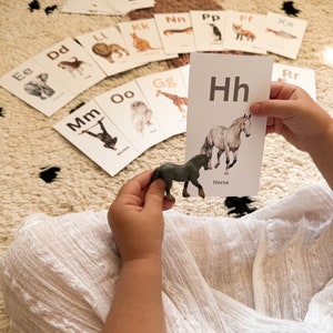 Educational Animal Alphabet Flashcards for Kids | A to Z Animal ...