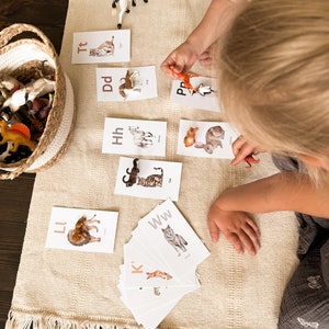 Educational Animal Alphabet Flashcards - Perfect for Kids Learning Abcs ...