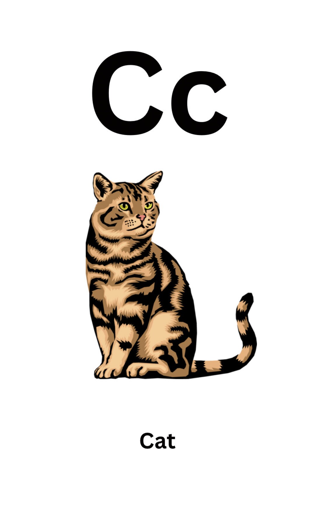 Animal ABC Flashcards for Kids | Fun Alphabet Learning Cards ...