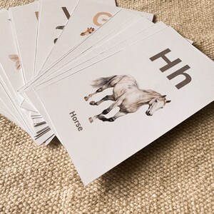 Educational Animal Alphabet Flashcards - Perfect for Kids Learning Abcs ...