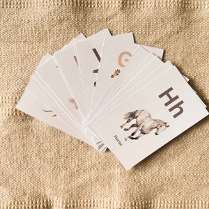 Animal ABC Flashcards for Kids | Fun Alphabet Learning Cards ...