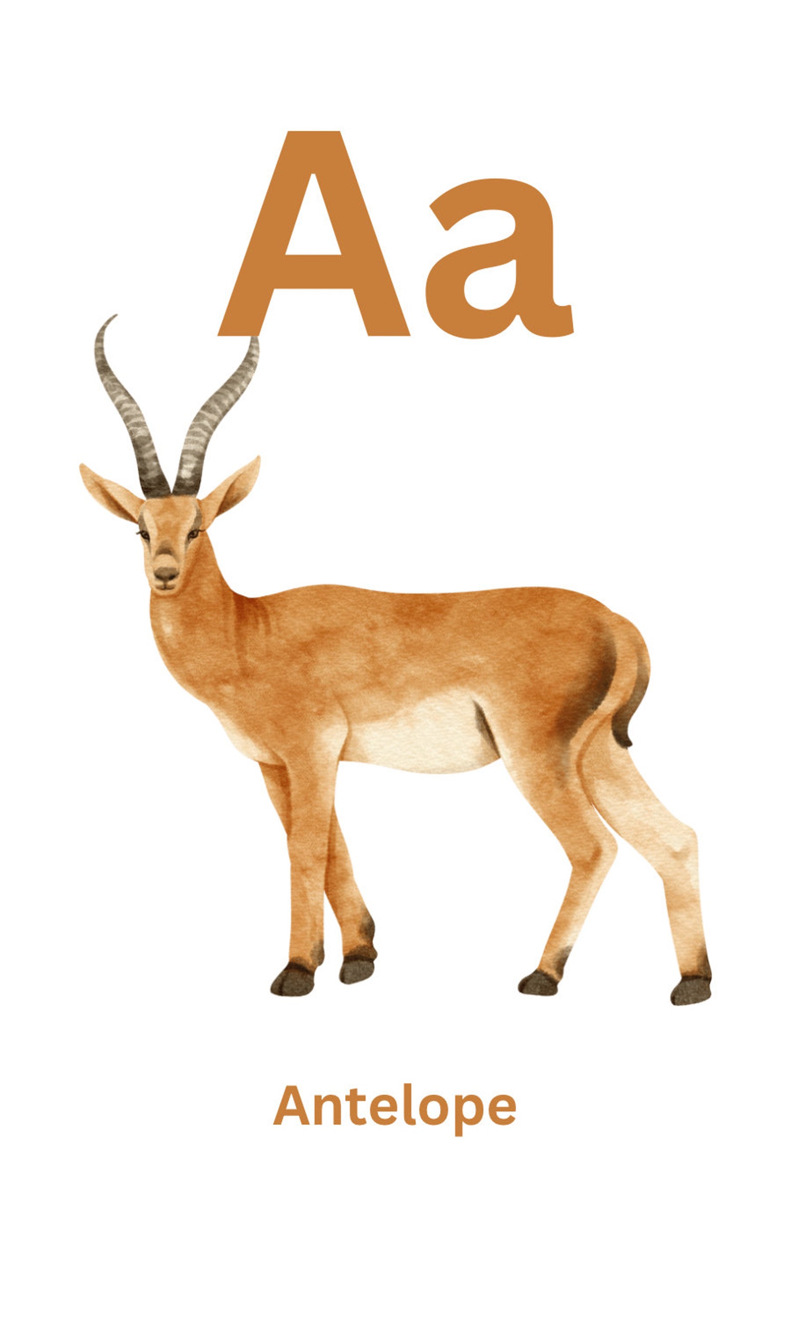 Educational Animal Alphabet Flashcards - Perfect for Kids Learning Abcs ...