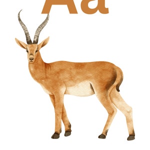 Educational Animal Alphabet Flashcards - Perfect for Kids Learning Abcs ...