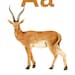 Educational Animal Alphabet Flashcards - Perfect for Kids Learning Abcs ...