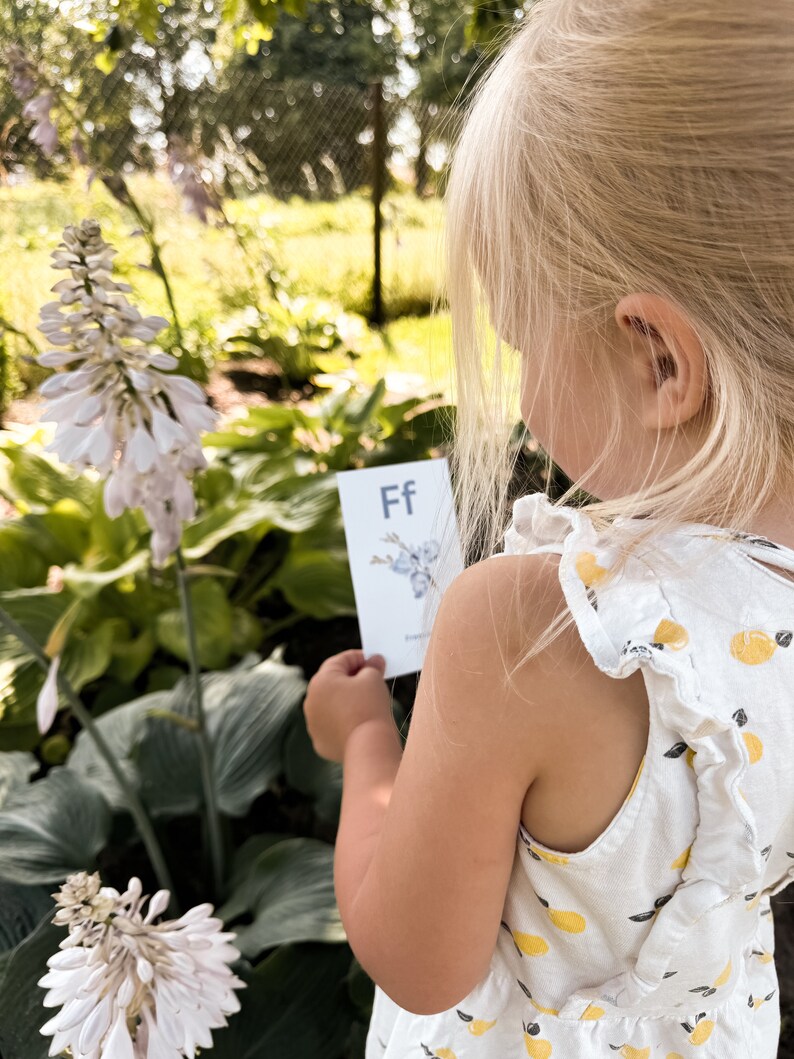 Printable Flower Alphabet Flashcards - Educational Floral Learning ...