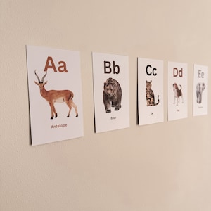 Educational Animal Alphabet Flashcards for Kids | A to Z Animal ...