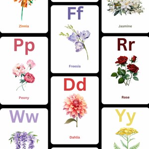 Printable Flower Alphabet Flashcards - Educational Floral Learning ...