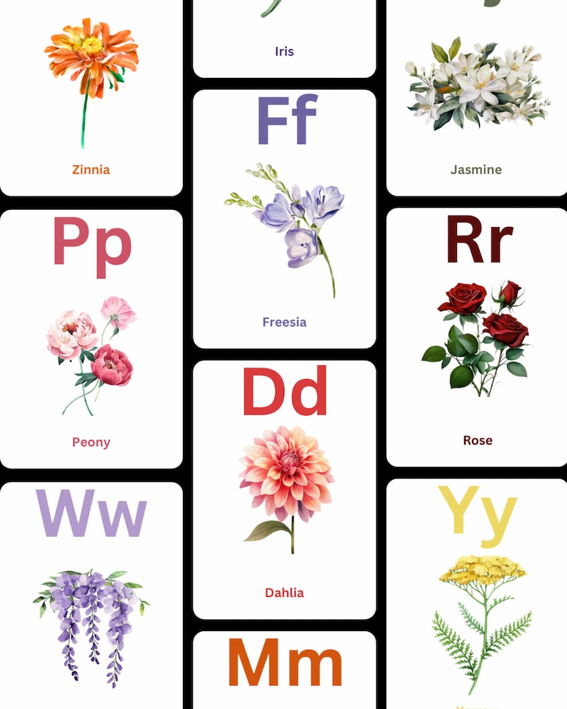 Printable Flower Alphabet Flashcards - Educational Floral Learning ...