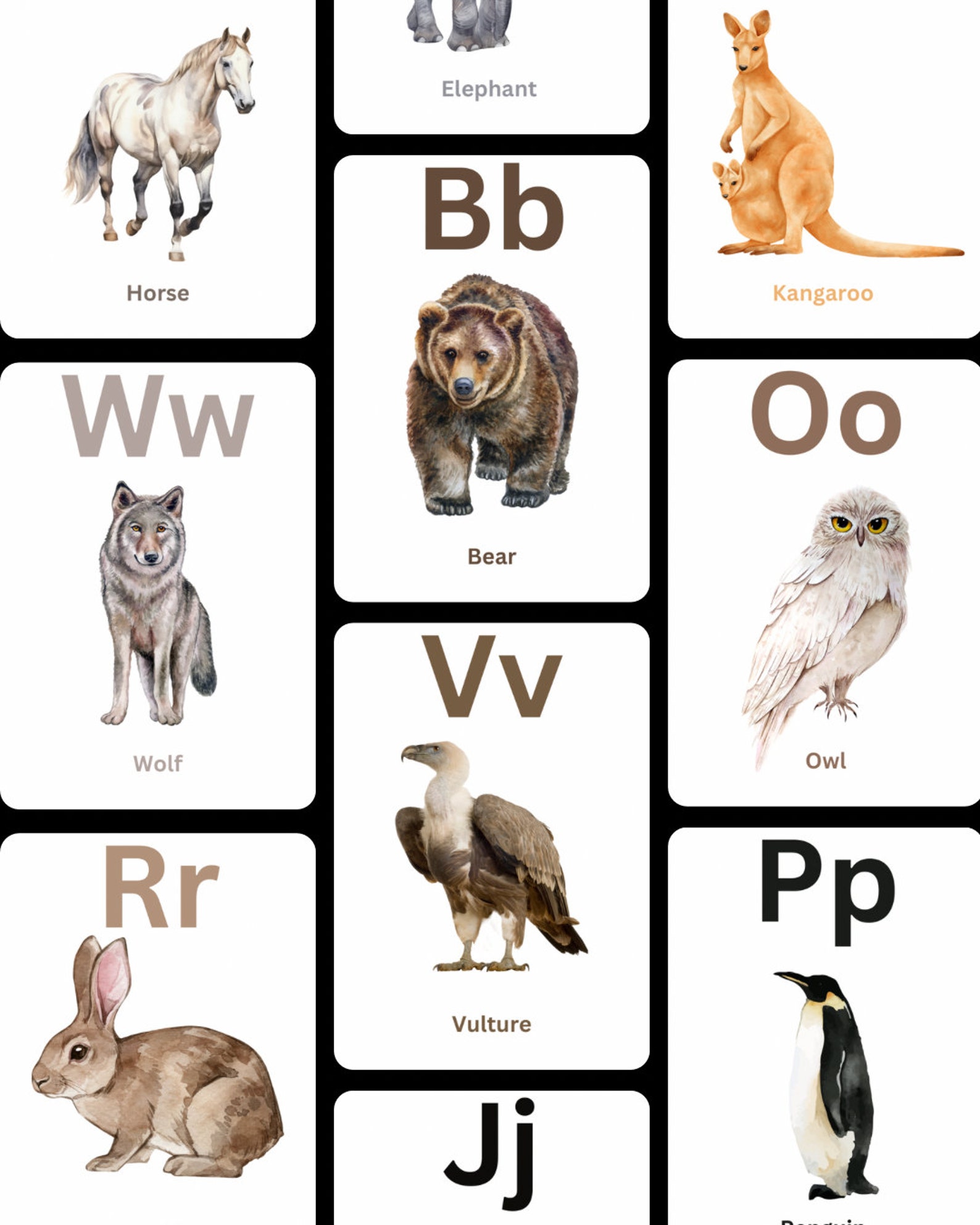 Educational Animal Alphabet Flashcards for Kids | A to Z Animal ...