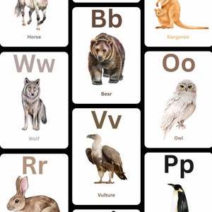Educational Animal Alphabet Flashcards for Kids | A to Z Animal ...