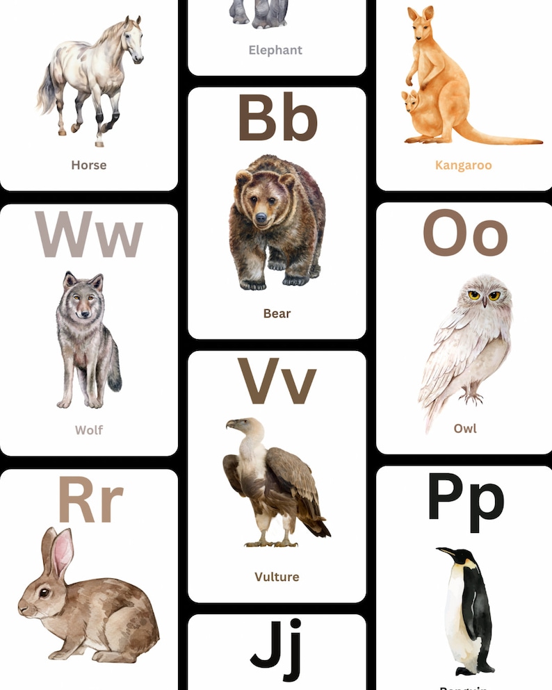 Educational Animal Alphabet Flashcards for Kids | A to Z Animal ...