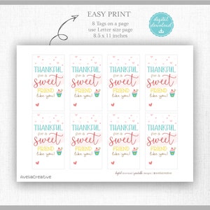Classmates Tags, Instant Download, Thankful for a Sweet Friend Like You ...