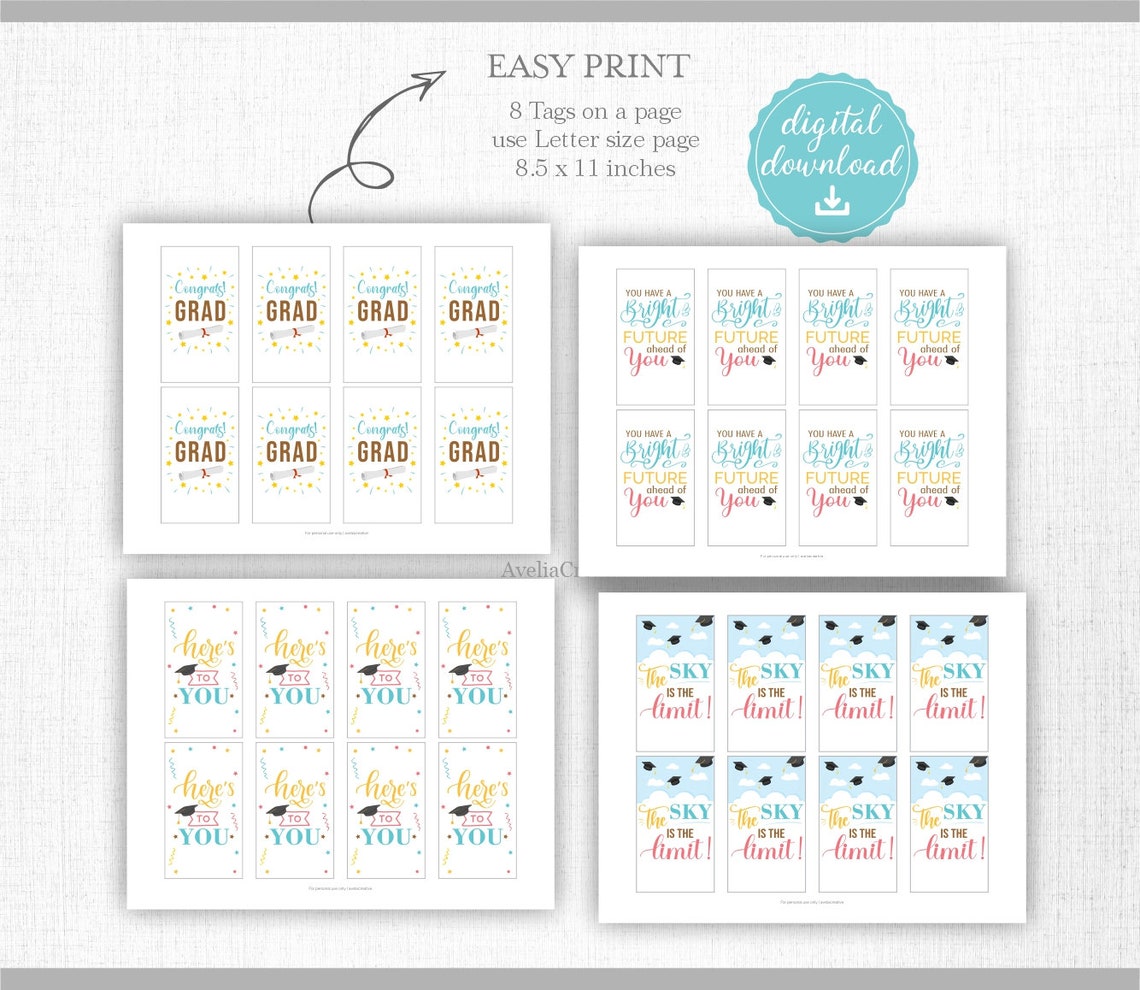Graduation Printable Gift Tags, Instant Download, Student Gift Tags ...